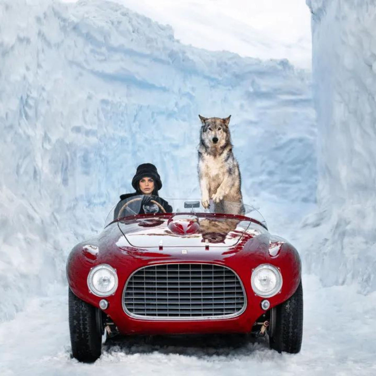 1953 Color – Scapegoatgallery