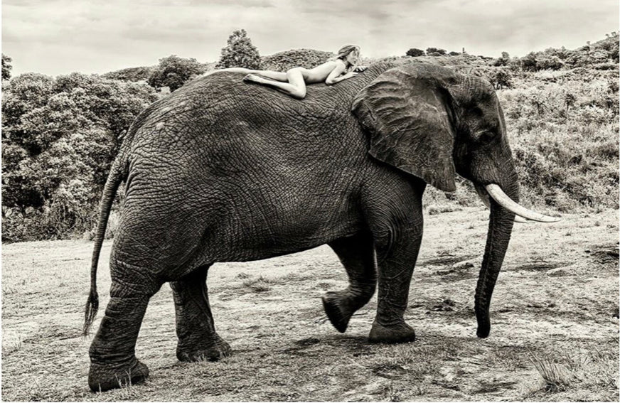 On Thembo's back – Scapegoatgallery